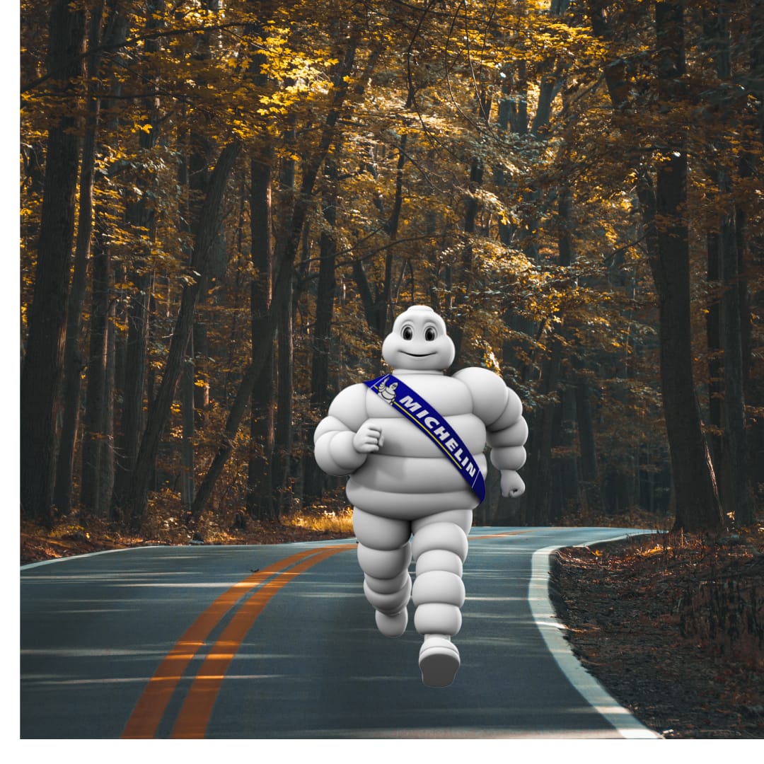 Somos Distribuidores autorizados de las marcas Michelin, BFGoodrich, G ...